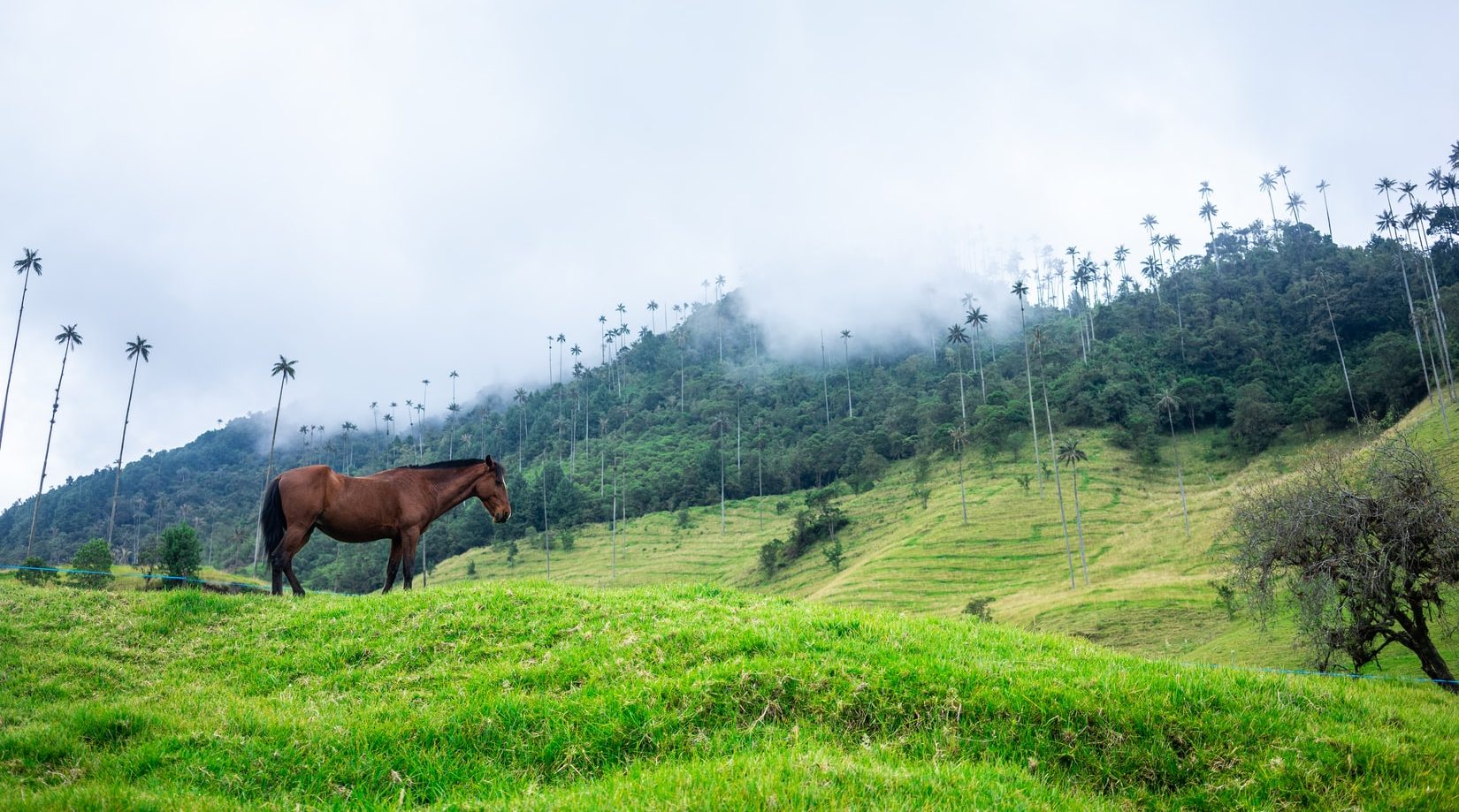 Colombia Snapshot - North South Journeys